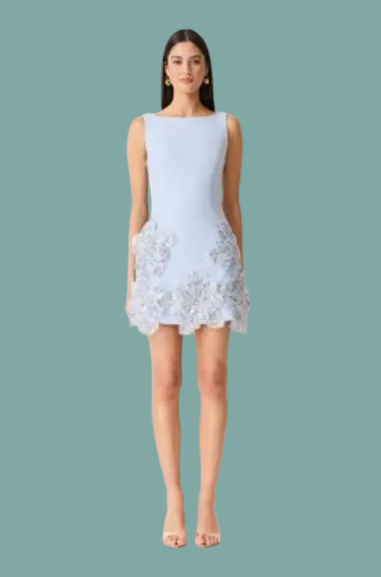 Skye Mini Dress – Pronto